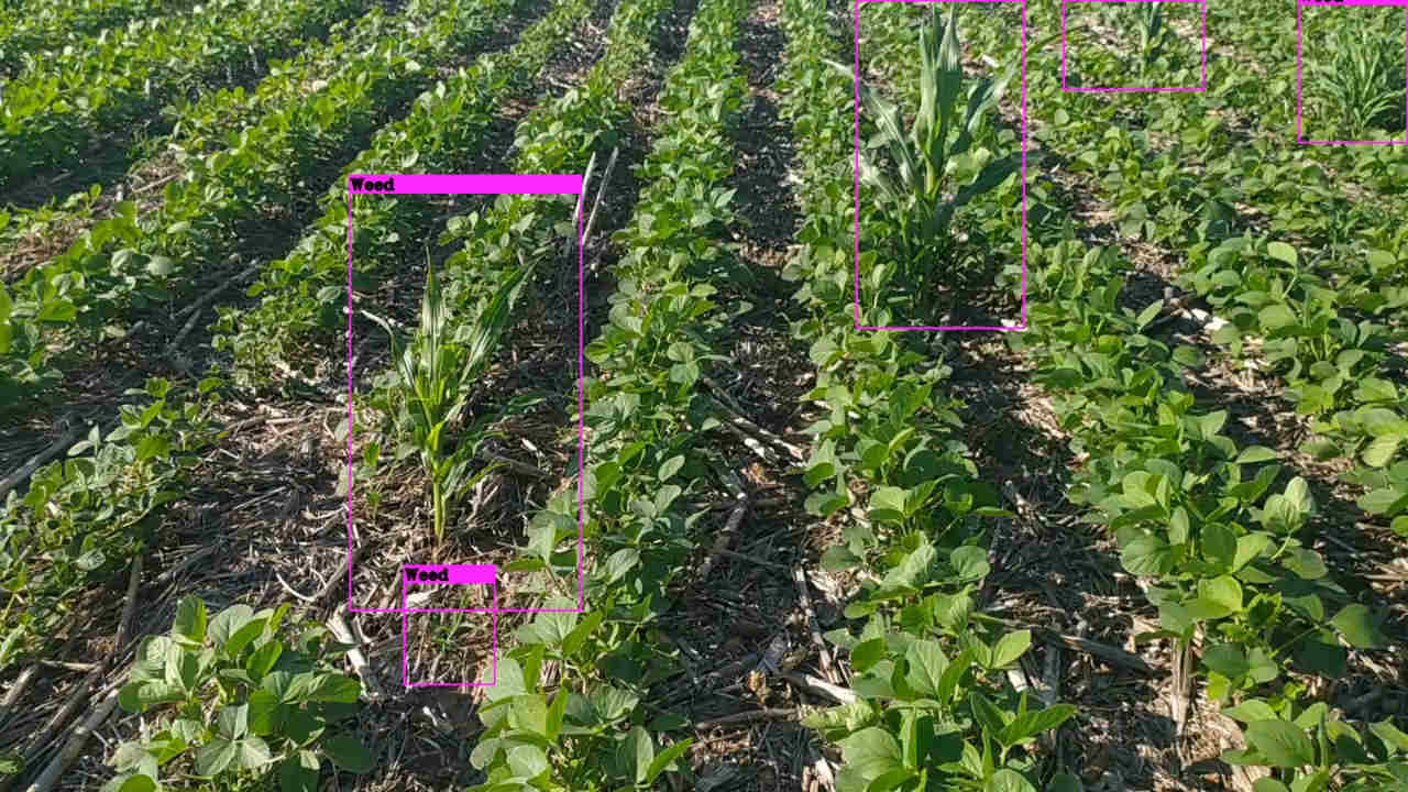 DeepAgro™ | Precision Spraying | AgTech